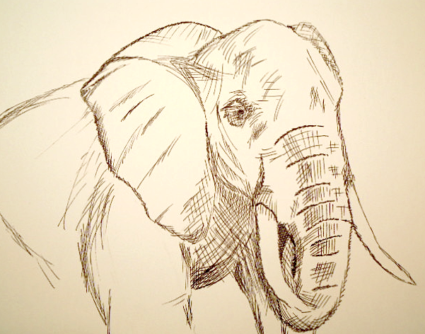 An Elephant a Day: Elephant No. 199: Hatching and Cross-Hatching