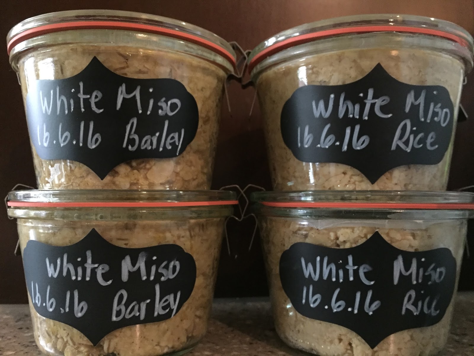 Tina's Adventures in Fermentation: Fermentationist Certification ...