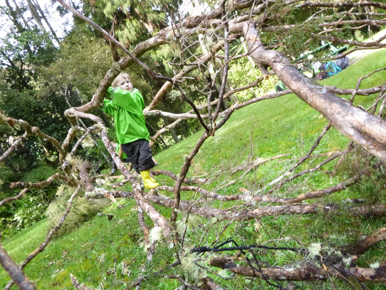 Mairtown Kindergarten: What a surprise discovery on the nature programme