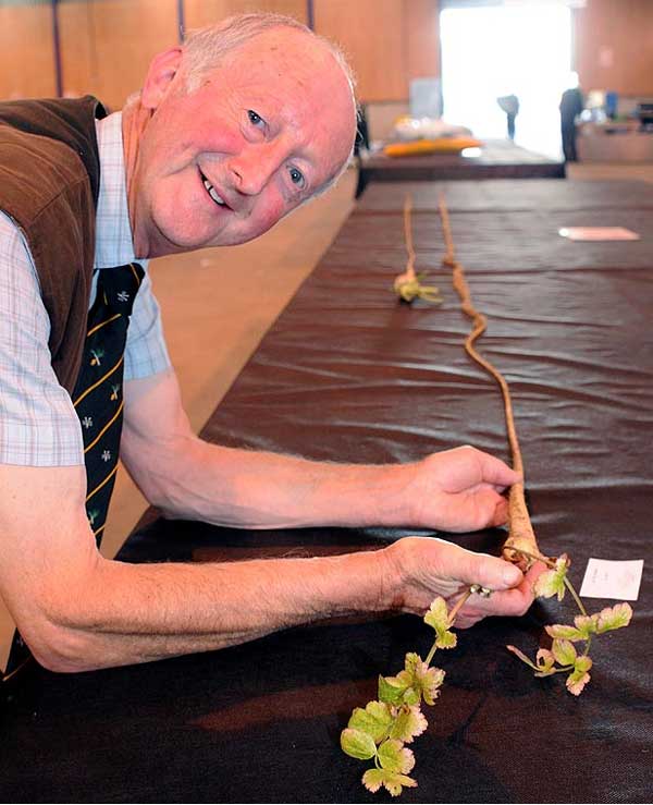 Nothing To Do With Arbroath: Man grows world's longest parsnip