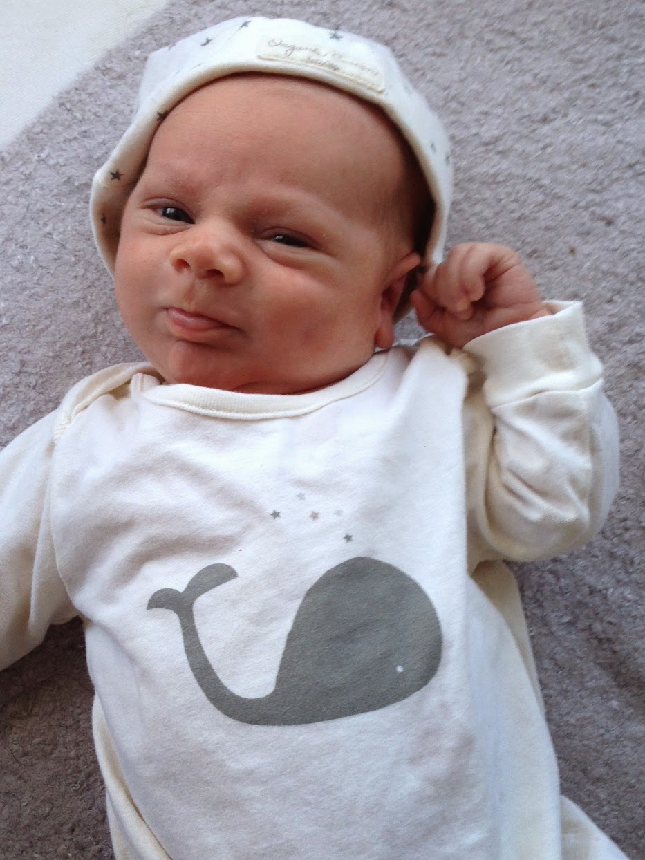 JOSEPHINE: a creative life: Welcome Home Baby Benjamin!