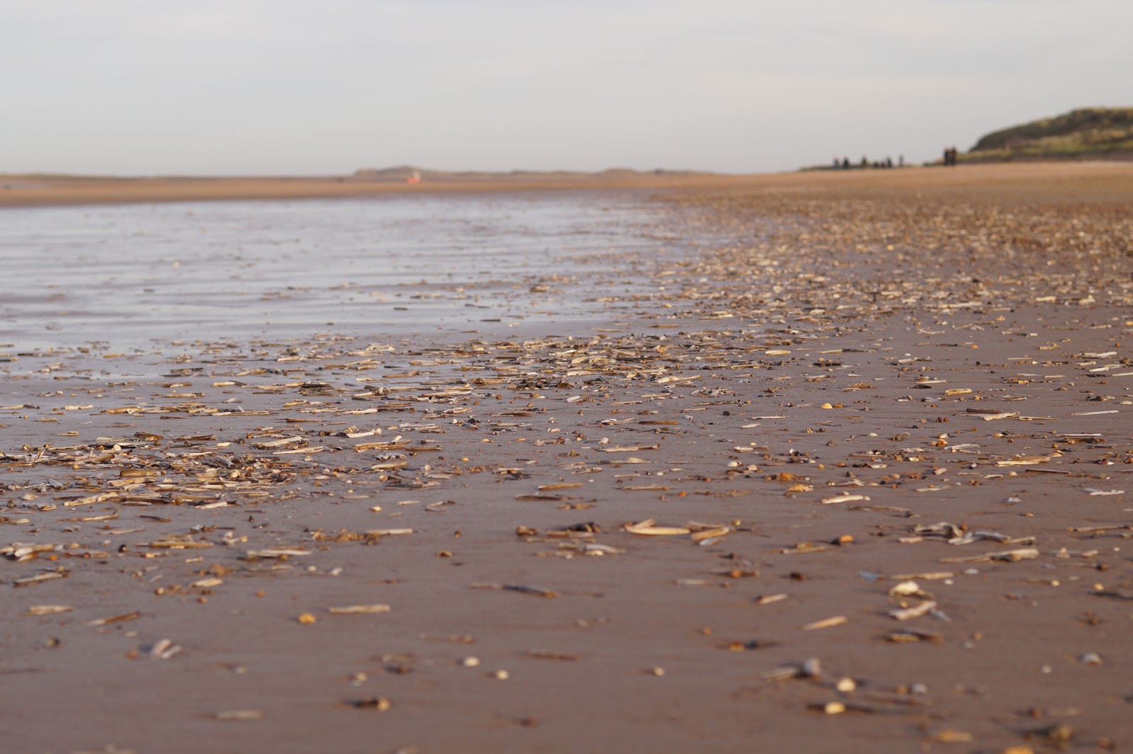 Brancaster beach, empty in winter - Sophie in the Sticks