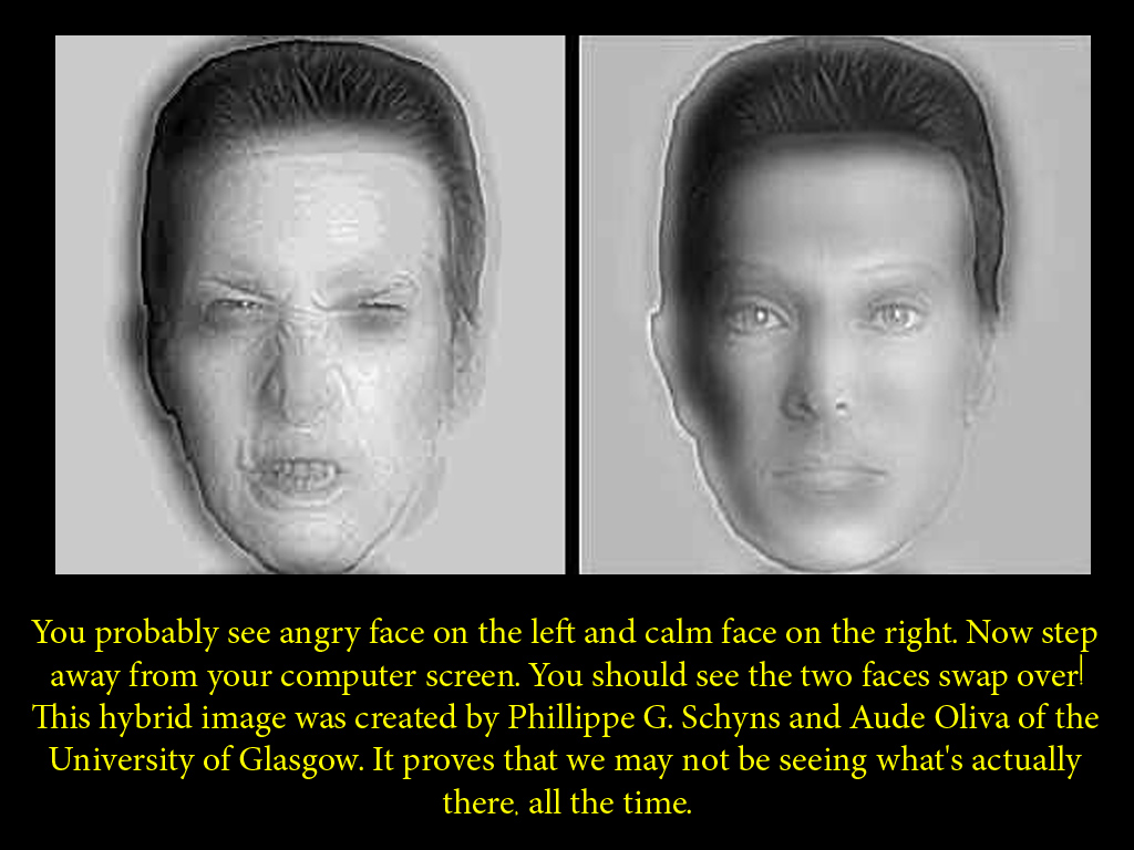 10 Most Exciting Face Optical Illusion - Learn English and Enjoy