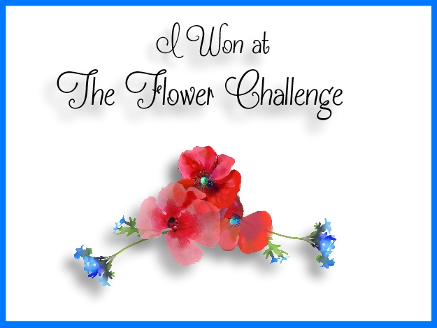 The Flower Challenge: The Flower Challenge 'Picks for the Month of May'