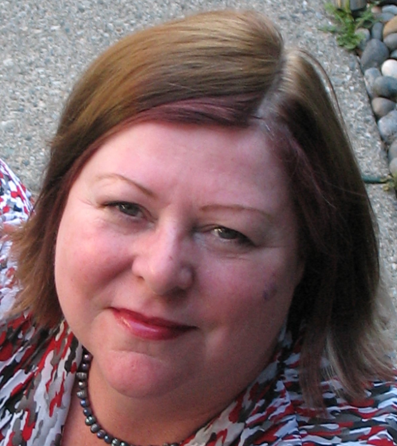 CCFCC 2011 National Conference: Meet the Team