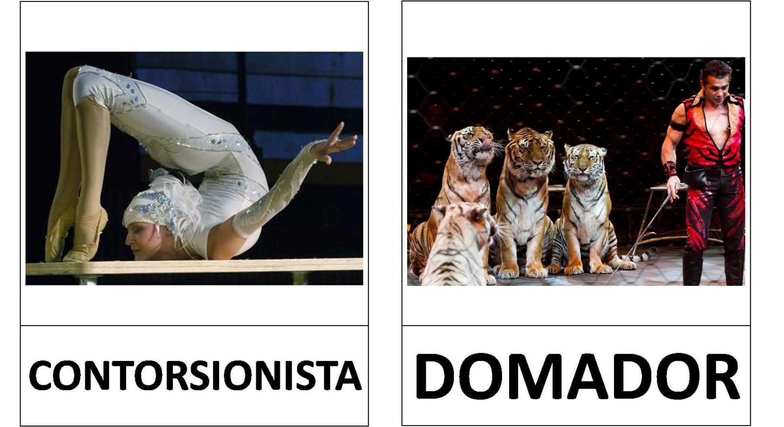 LAS ROQUERAS: TARJETAS VOCABULARIO "EL CIRCO"