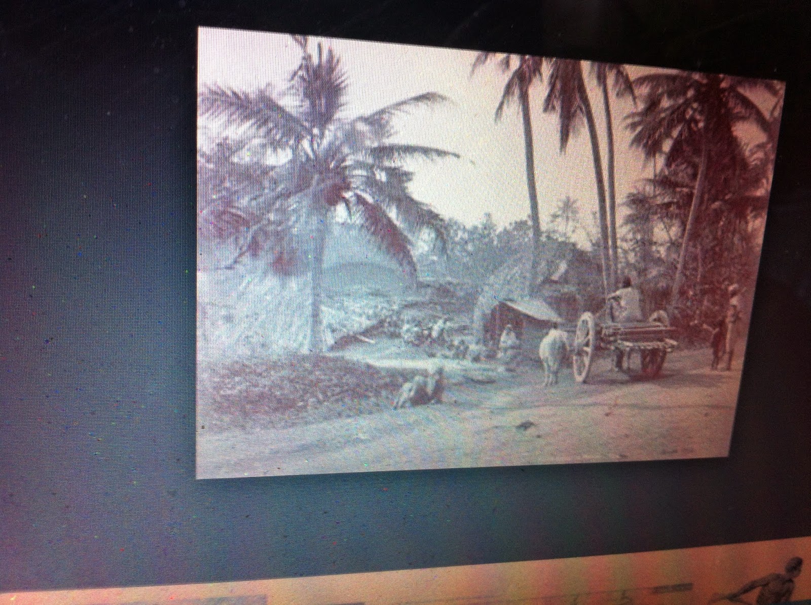 THE BLACK SOCIAL HISTORY:: BLACK SOCIAL HISTORY : THE TACKY'S WAR OR ...