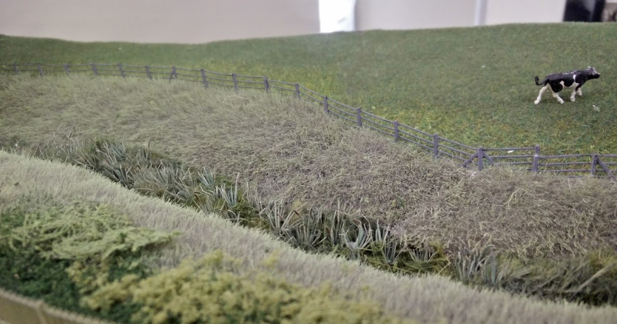 Basingstoke Area Group: What a load of old bull-rushes