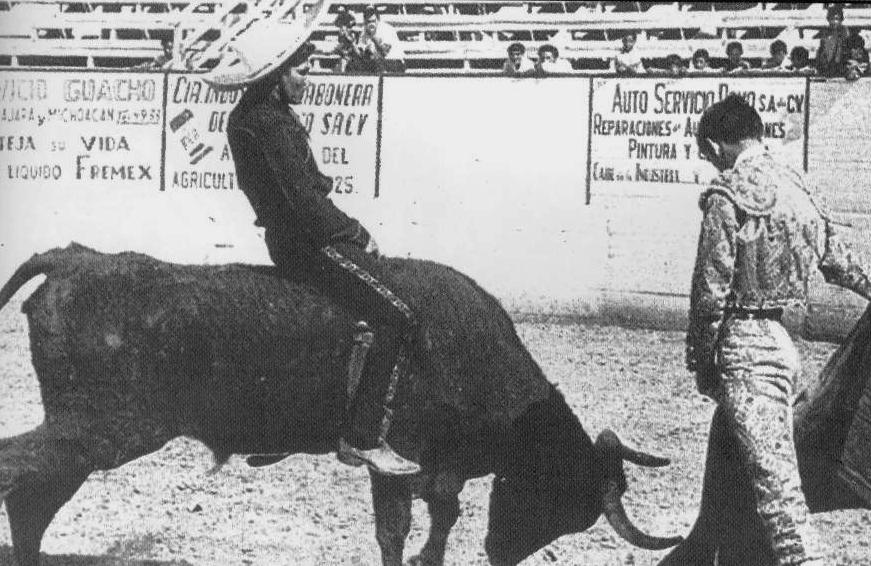 Del toro al infinito: QUITO: La muerte tenía un precio / José Ramón Márquez