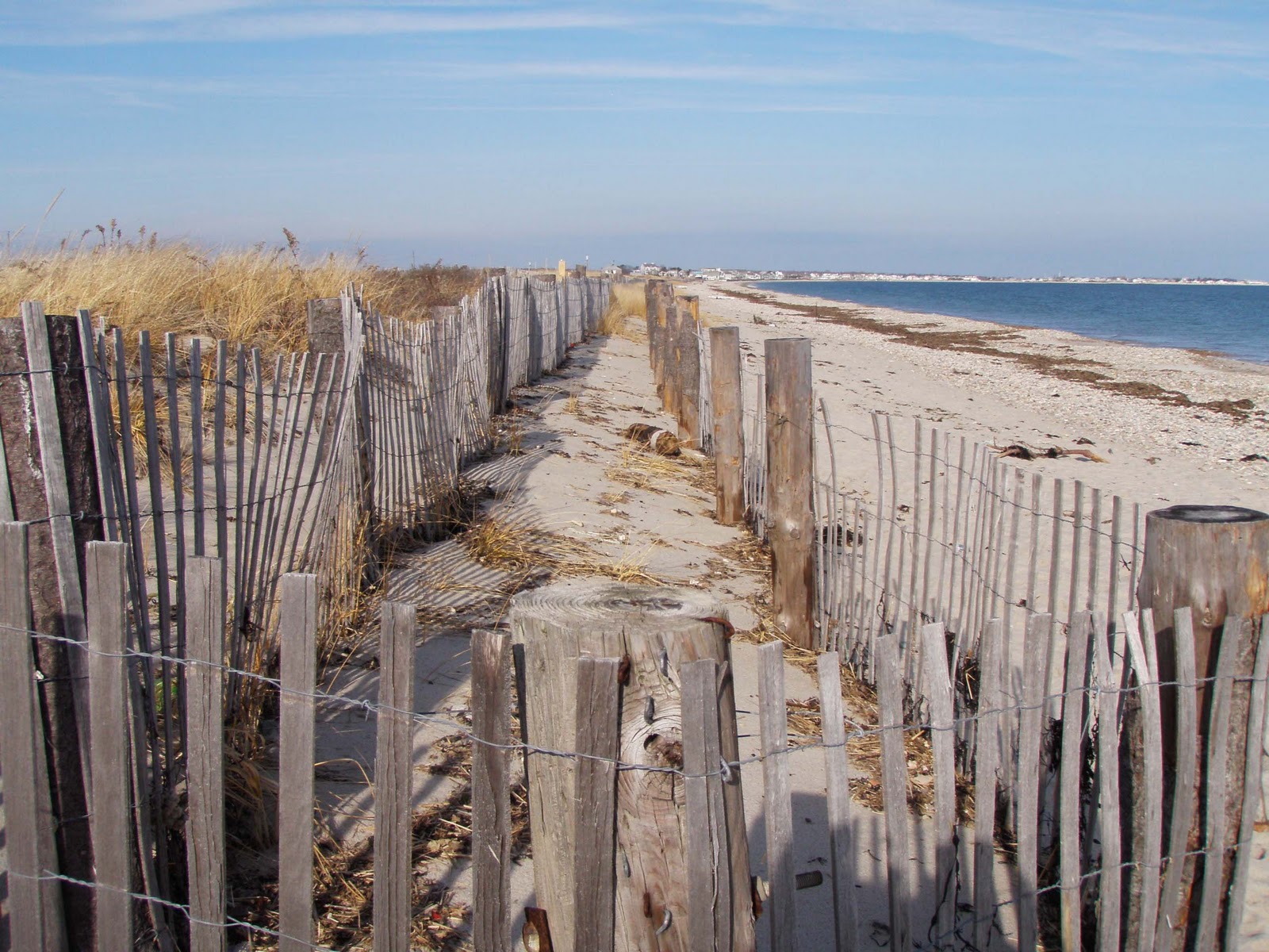 Morning Dew: Duxbury Beach and Marshfield Beach