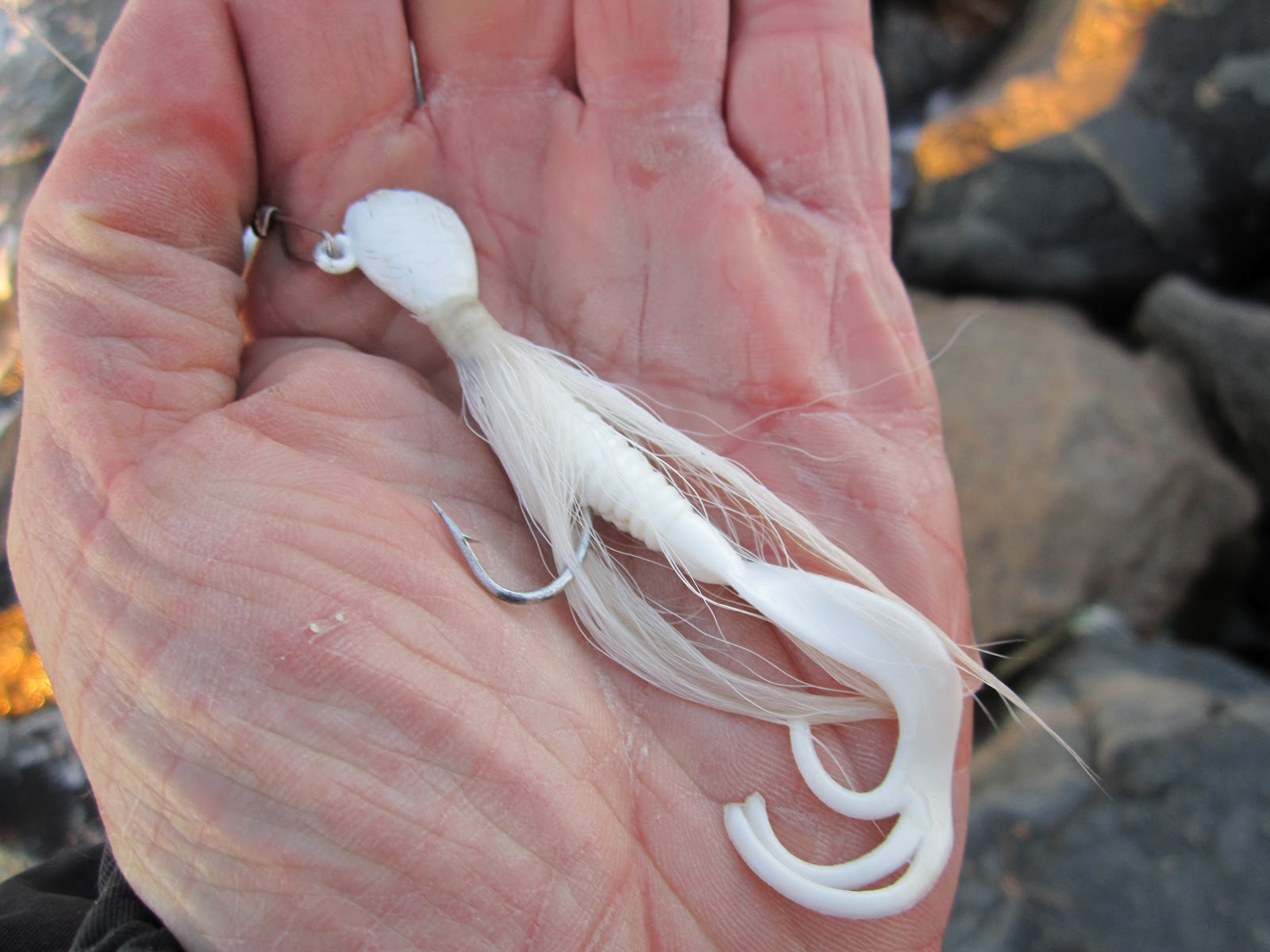 Rhode Island Striped Bass: Bucktail Jig Scores Big Time