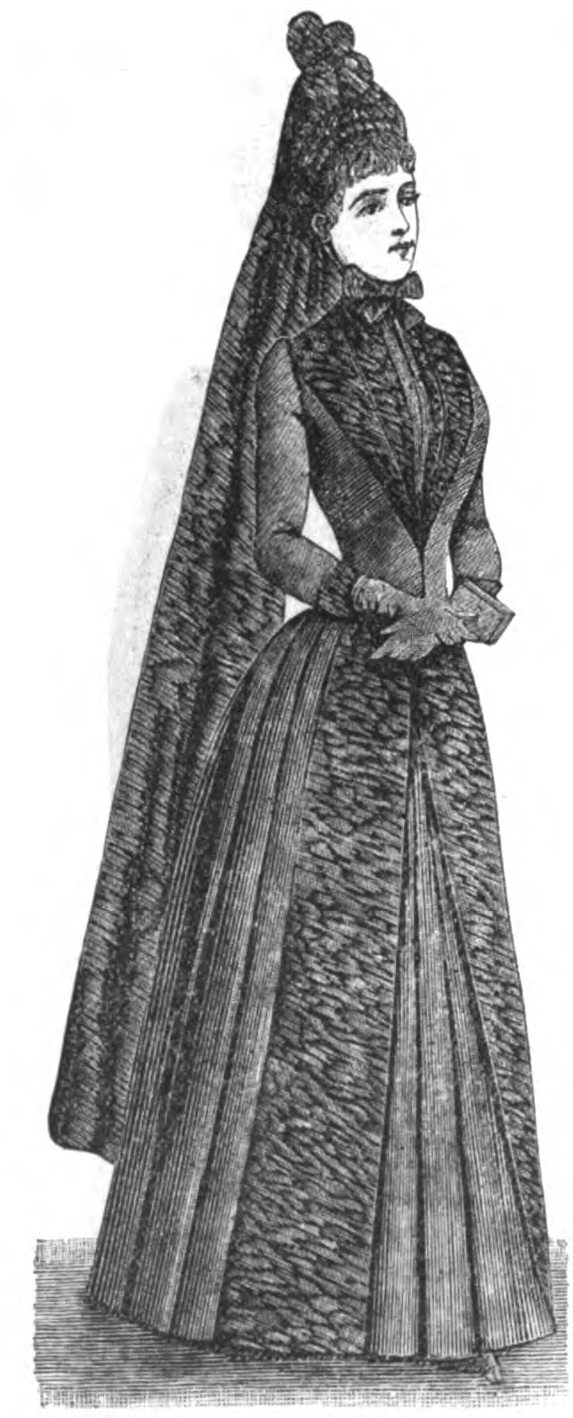 19th Century Historical Tidbits: 1889 Fashions