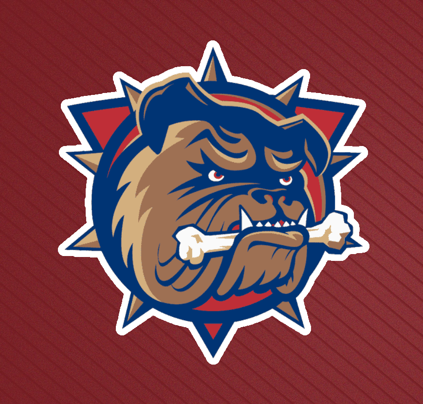 Scott Markiewicz Concepts: My Top 10 AHL Logos!