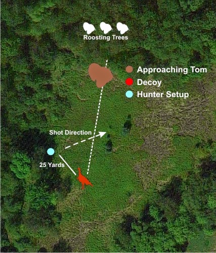 Wild Turkey Fever: The Best Turkey Hunting Setup For Bowhunters