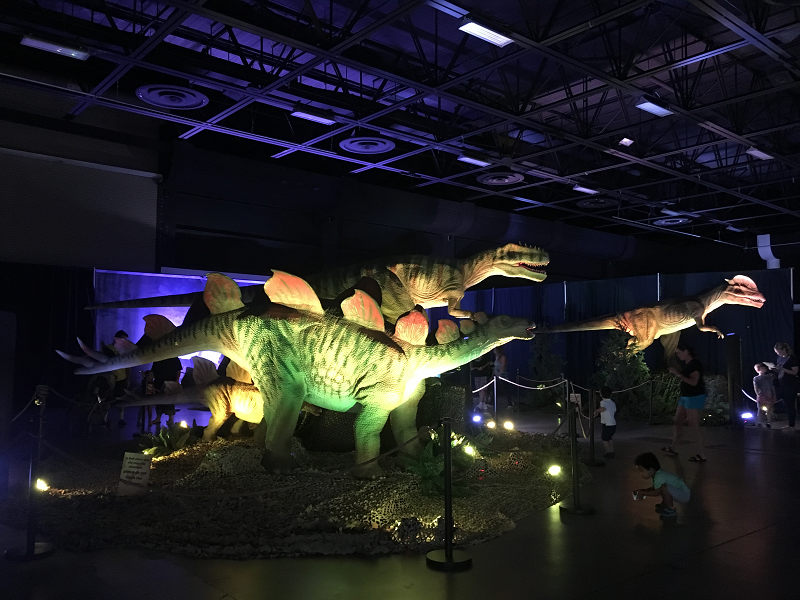 You Are The Roots: discover the dinosaurs unleashed