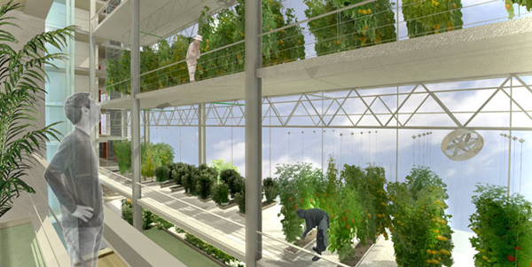Linda Tang Architekten: Green and the City: Urban Farming