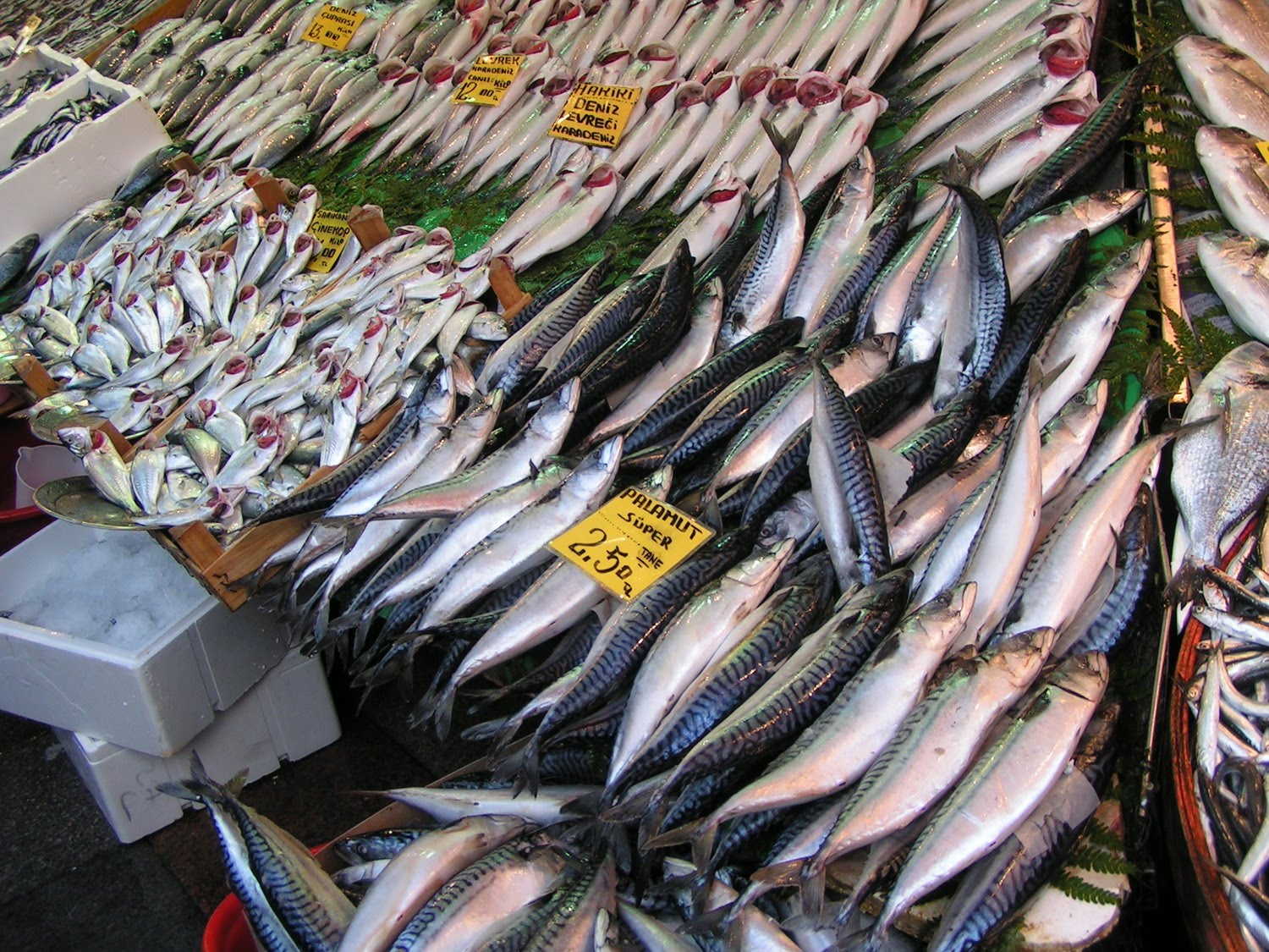 the glamourous life: the glamourous life...Istanbul ...food heaven