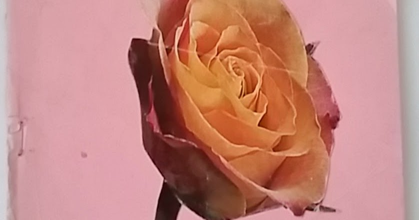 Ramadan Journals | TJ RAMADAN