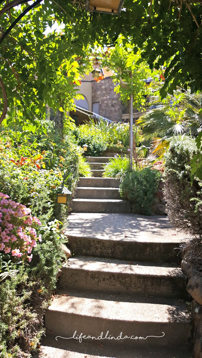 Summer Flowers and June Garden Link Up | Life and Linda