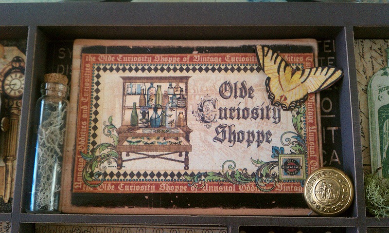 starrgazer creates: My Olde Curiosity Shoppe