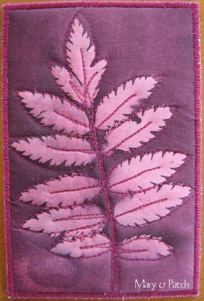 Sun printing on fabric | Mary & Patch