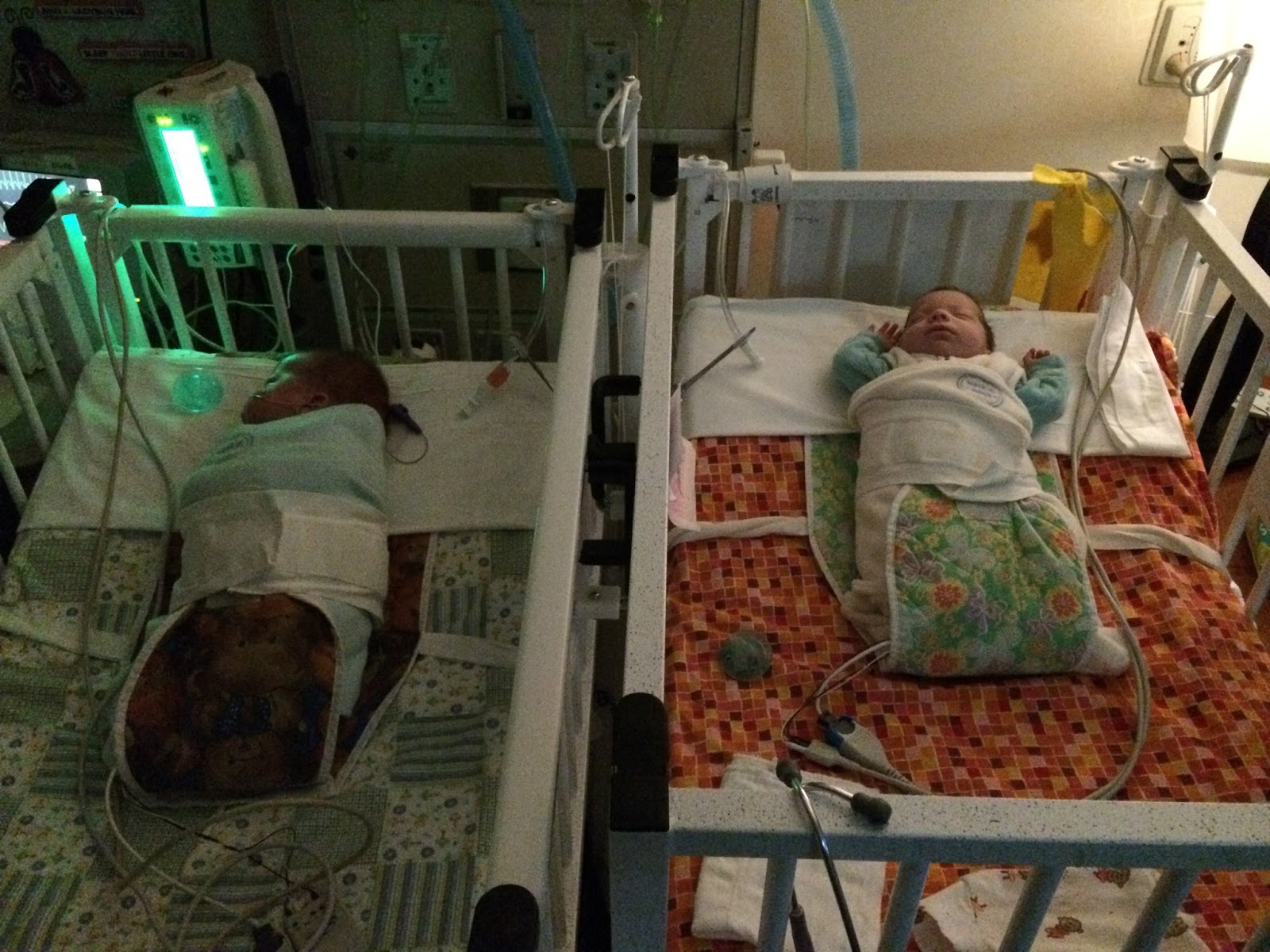 From Our Home to Yours - The Zins Family