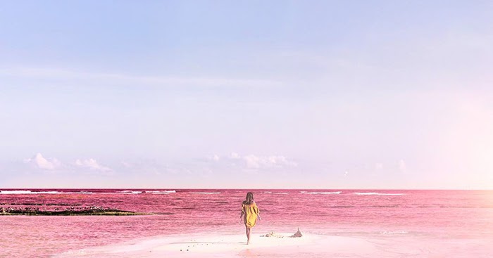 Esta lagoa natural rosa no México parece muito bonita para ser real ...