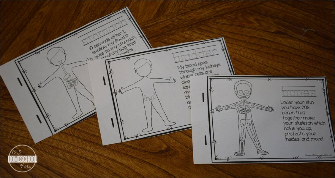 FREE Human Body Emergent Reader FREE Human Body Emergent Reader