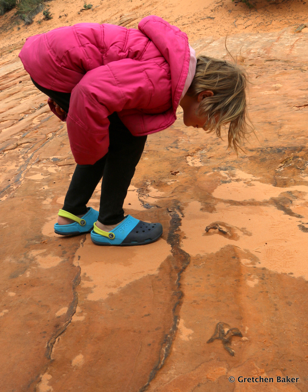 Desert Survivor: Spring Break in Southern Utah