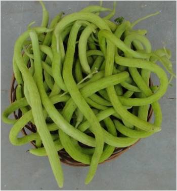 Vegetable varities released by IARI Pusa in the year 2015