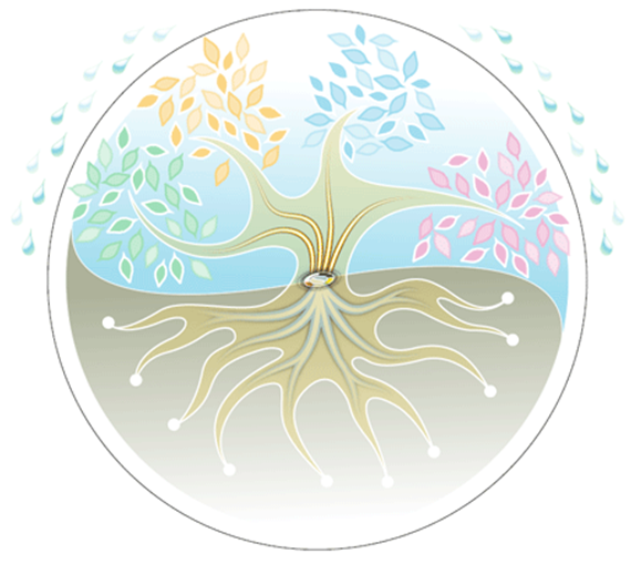 BCTF Aboriginal Education Association: Holistic Lifelong Learning Websites