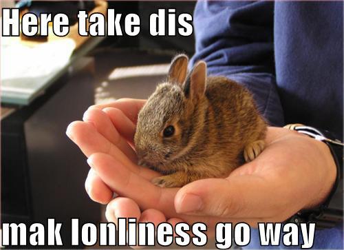 Photography: Funny Bunny - Here Take This Make Lonliness Go Away