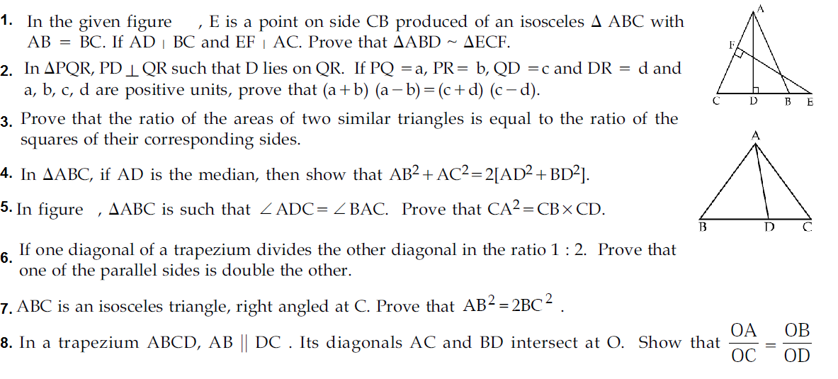 10th similar triangle guess questions