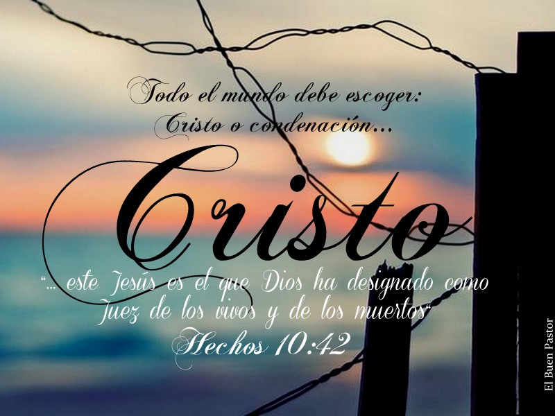 YO SOY EL BUEN PASTOR: Hechos 10:42