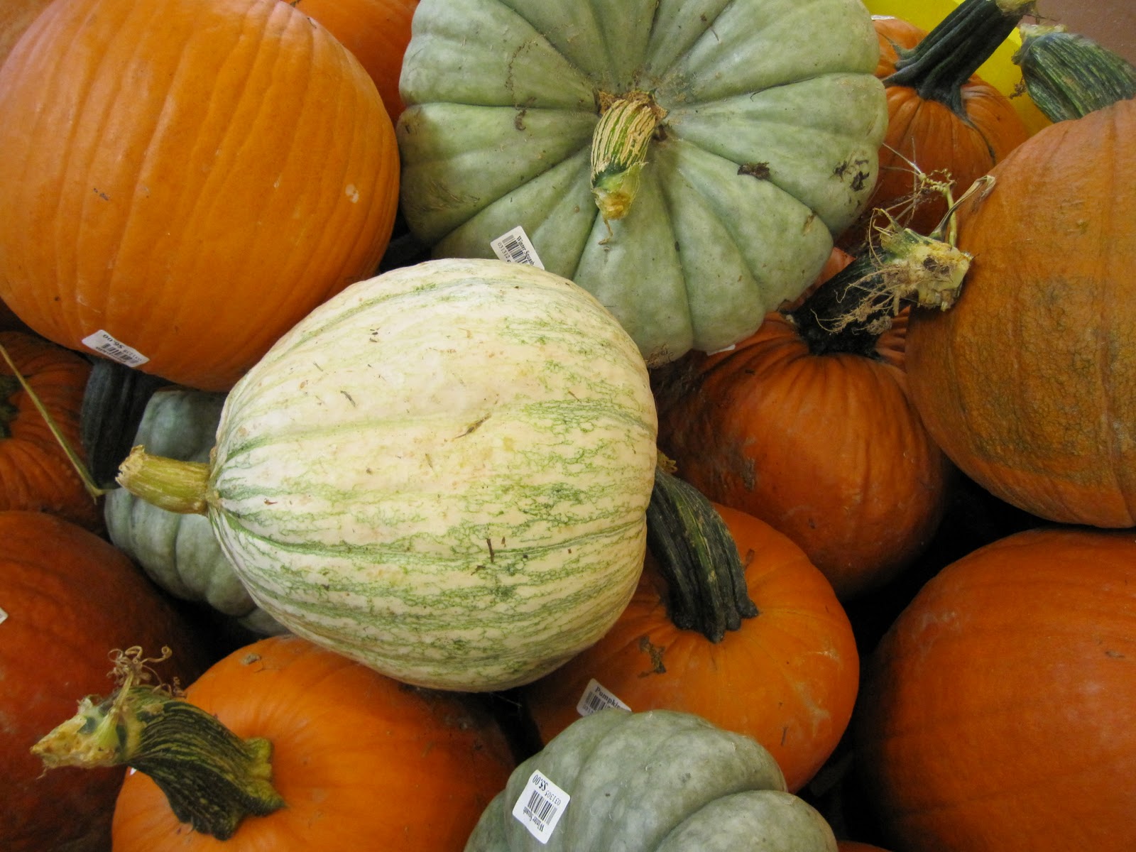 Valley View Farms: Fall To-Do list