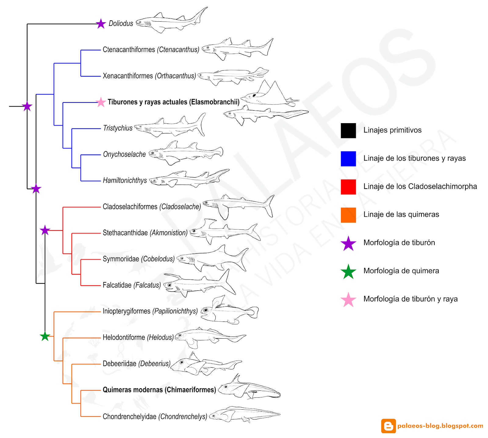 Palaeos, la historia de la Vida en la Tierra: Las quimeras descienden ...