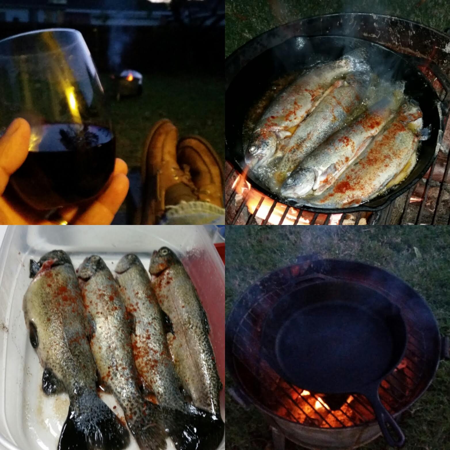 The Winos' Wine Guide: Red Wine, Open Fire, and Fried Trout...!