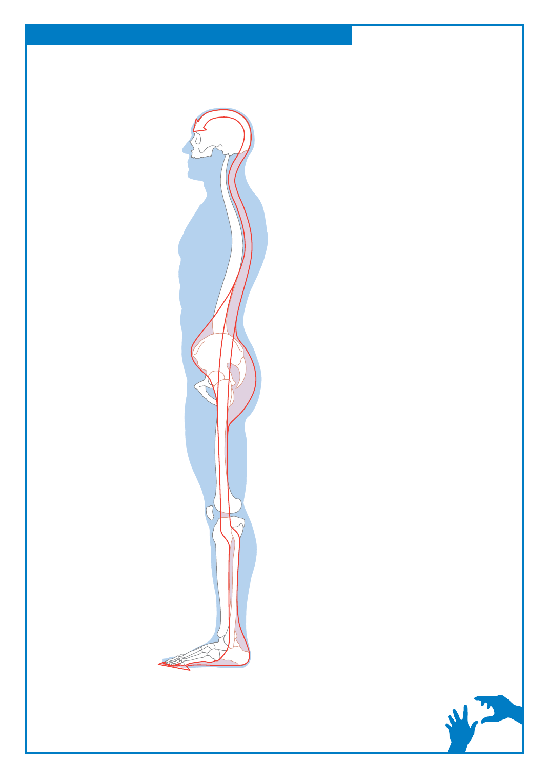 Kinesis Neuromuscular