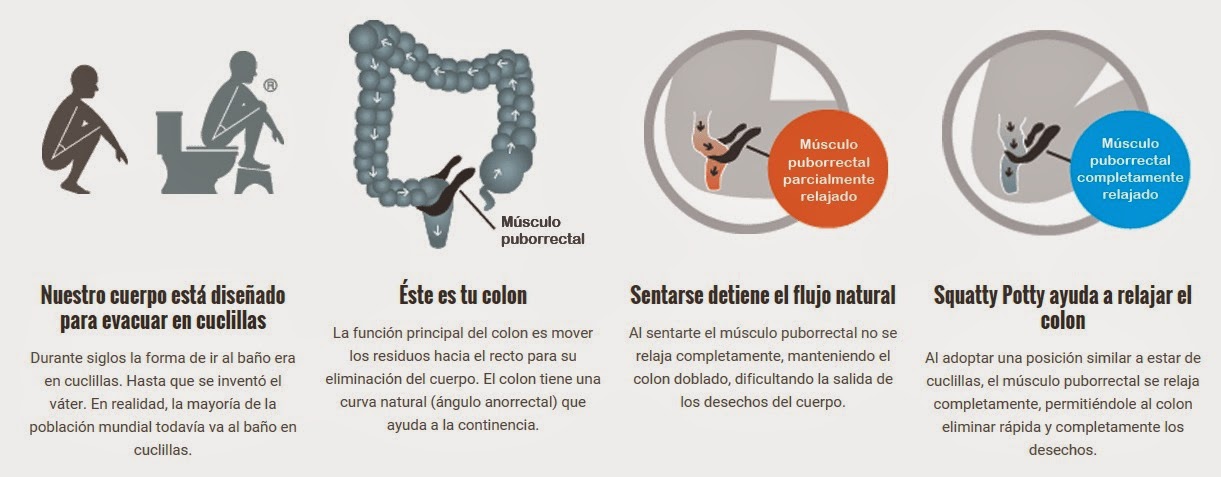 ELENA MARÍA POZO ACOSTA Fisioterapeuta Experta en Obstetricia y ...