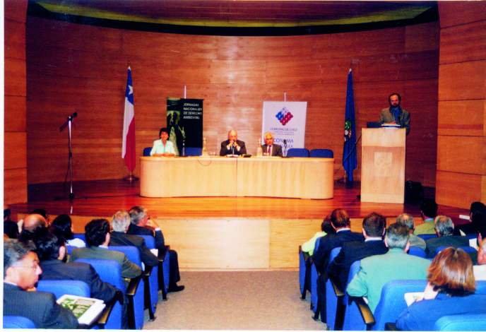 DESARROLLO CURRICULAR DE LENGUAJE: PANEL FORO Y COMPOSICIÓN DESCRIPTIVAS