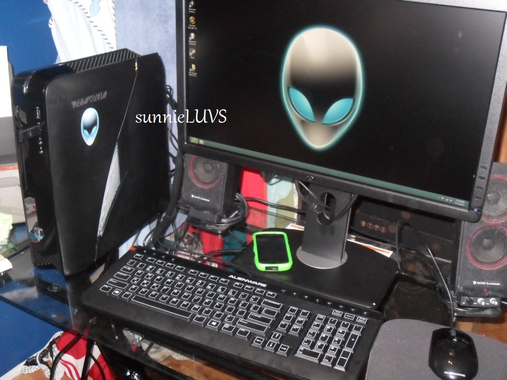 sunnieLUVS: Dell ALIENWARE