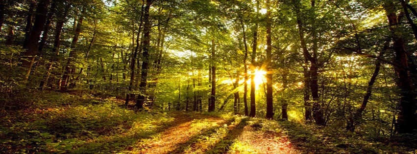 facebook titelbild natur | leadiaha