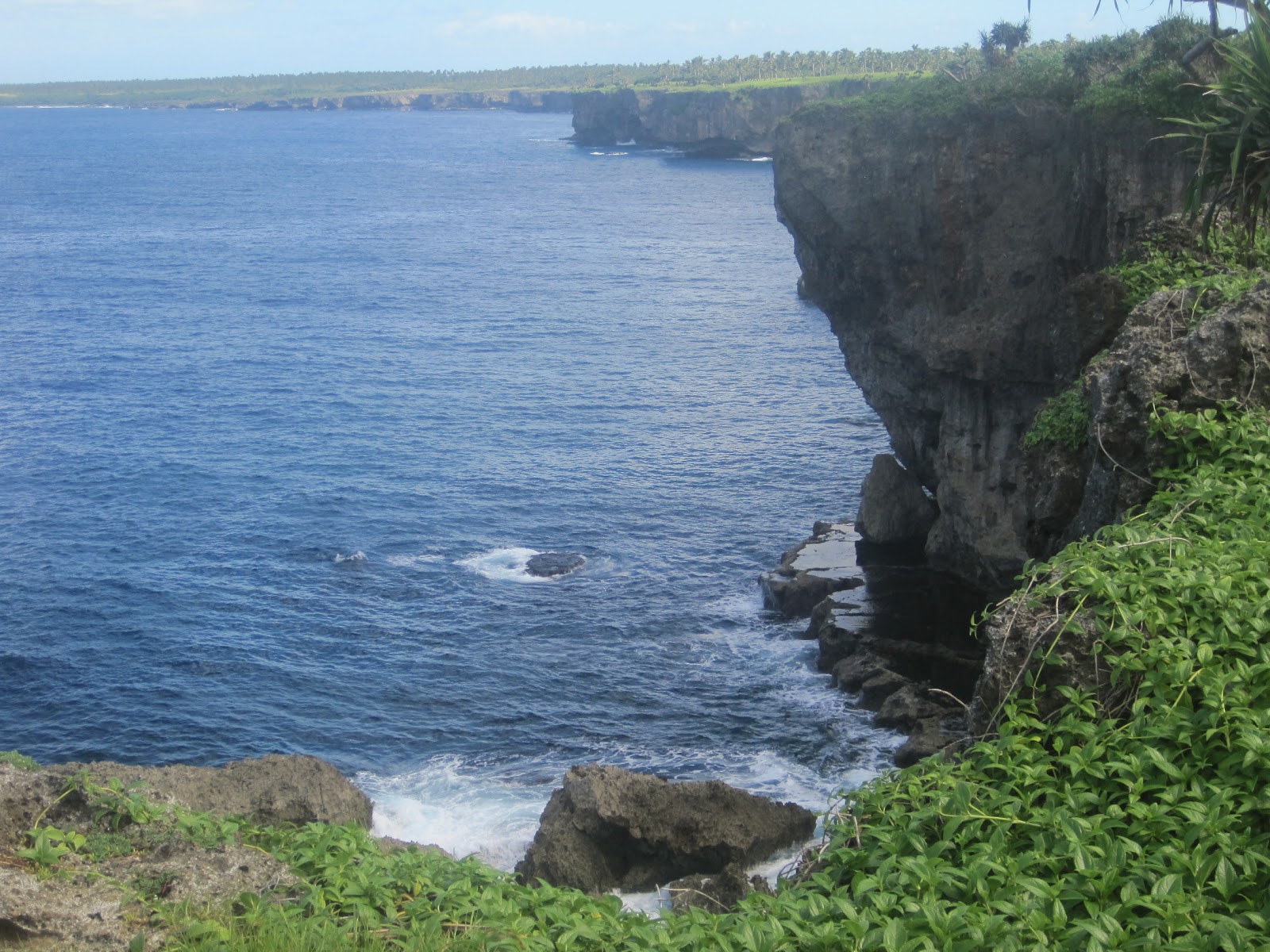 Thornes-in-Tarawa: A Week in Tonga