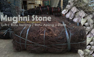 Disini ! Jual Ijuk Harga Lebih Murah (Kirim Cepat keJabodetabek) - JUAL ...