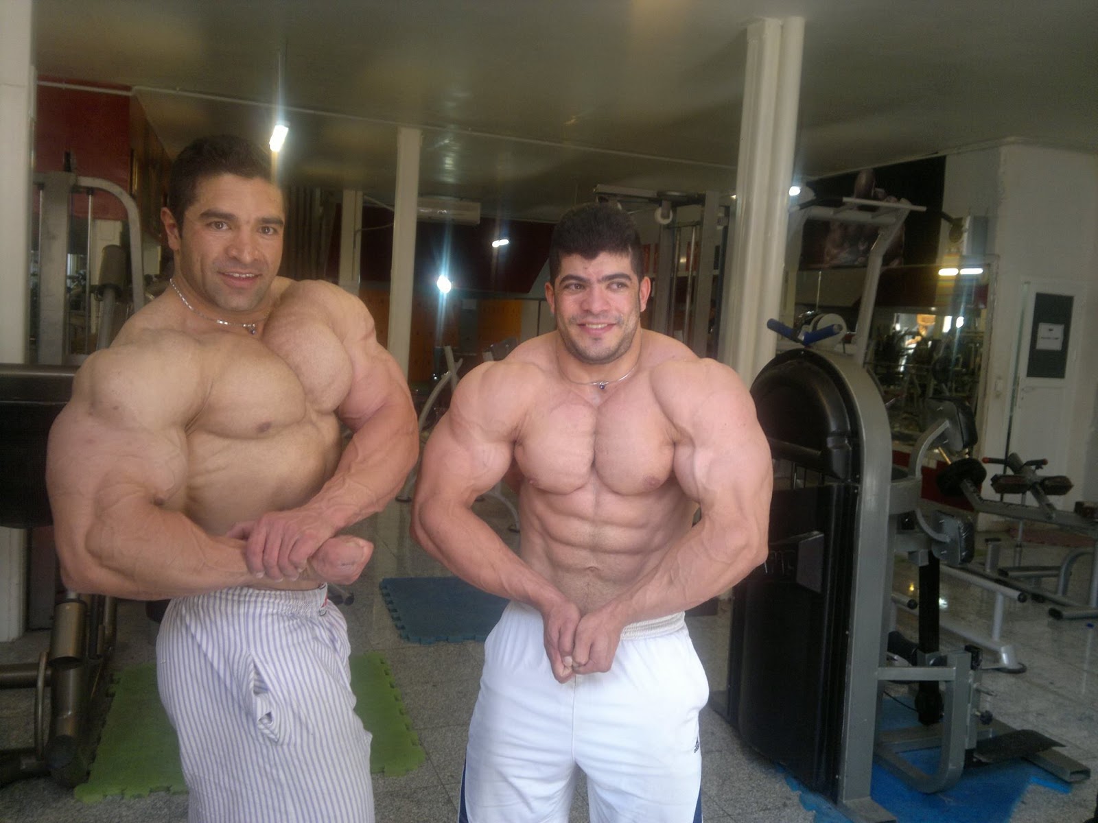 Muscle Lover: Iranian bodybuilder Majid Jameh Bozorg