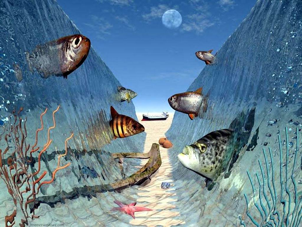 Arte / Educação: Arte Digital ou Arte de Computador