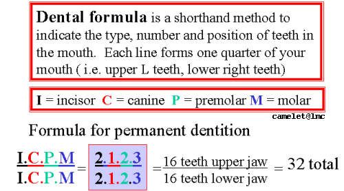 Grade 9: Sem 2 Chapter 8 Human Nutrition