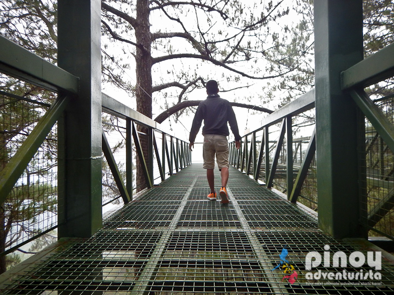 Experience Fun and Adventure at Tree Top Adventure Baguio City! | Blogs ...