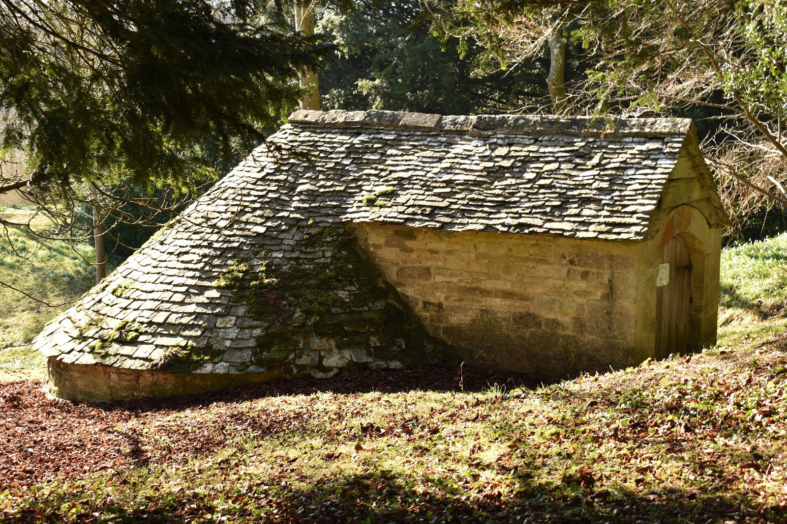 An afternoon at Colesbourne Park