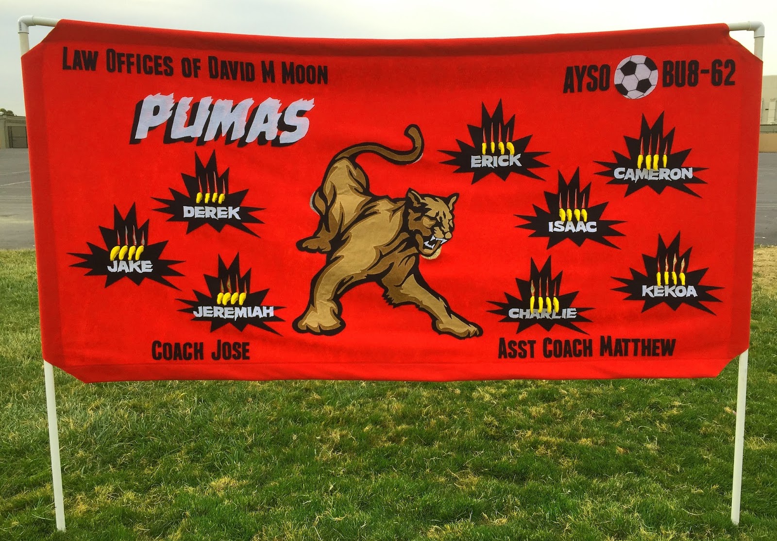 A Perfectionist's Guide to the DIY Soccer Banner
